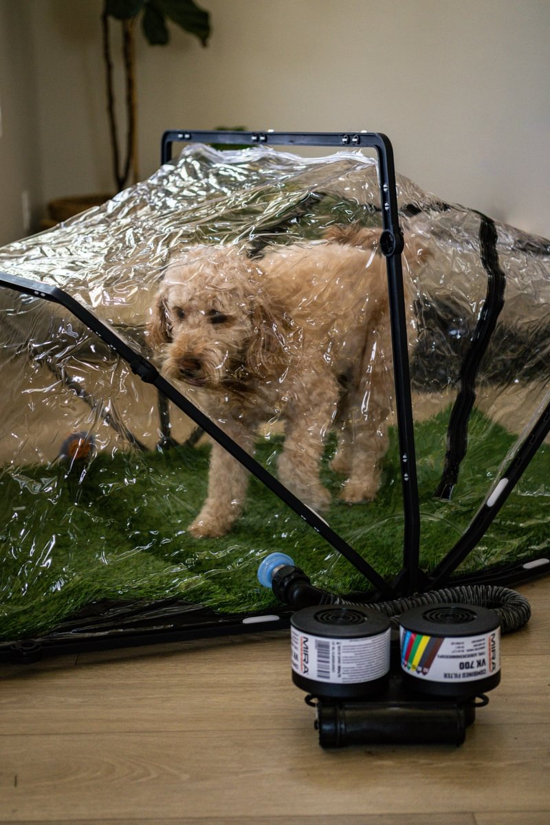 CBRN Animal Ark® First Breed Collapsible Dog Gas Mask | MIRA Safety